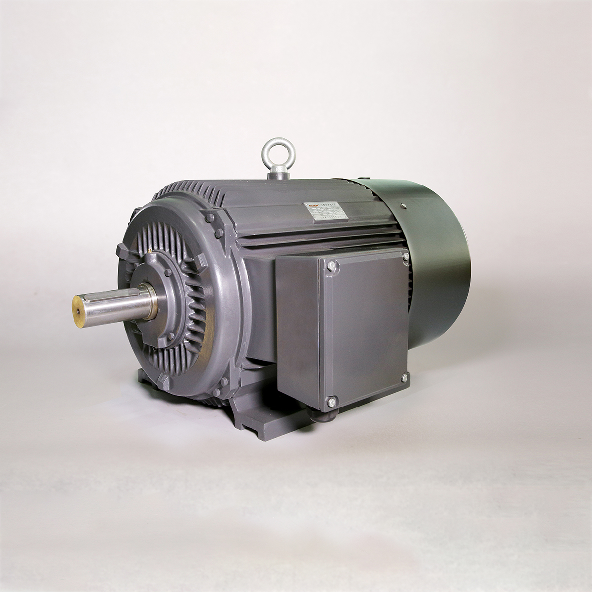 Best Low Voltage 3-Phase Asynchronous Motor with Cast Iron Housing ...