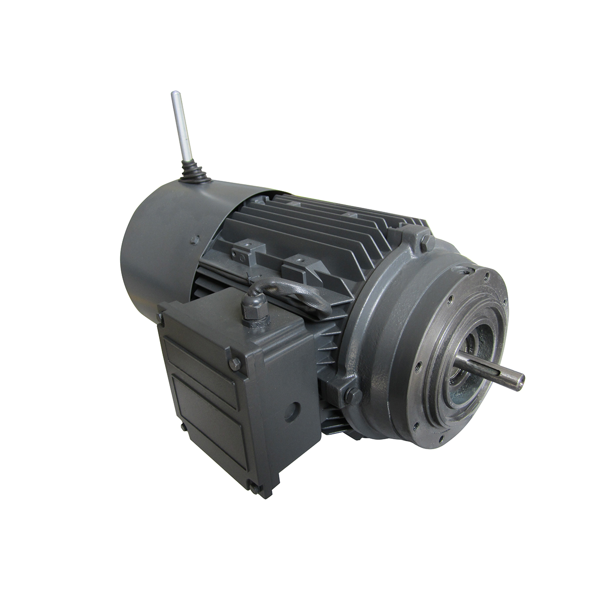 Best Low Voltage 3-Phase Asynchronous Motor with Demagnetizing Brake ...